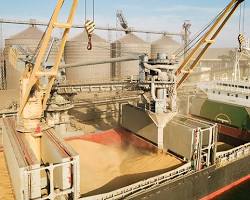Loading Grain in Bulk Carriers: A Comprehensive Guide - Unimar International